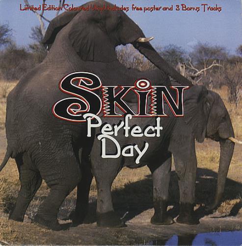 Skin [Rock] Perfect Day - Red Vinyl UK 7" vinyl single (7 inch record ...